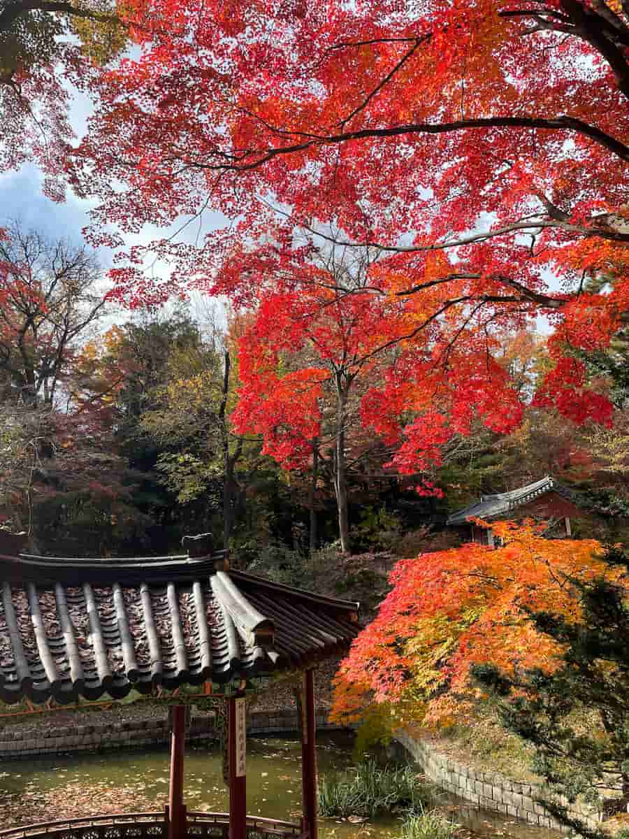 East Asia - Planetary Health Alliance