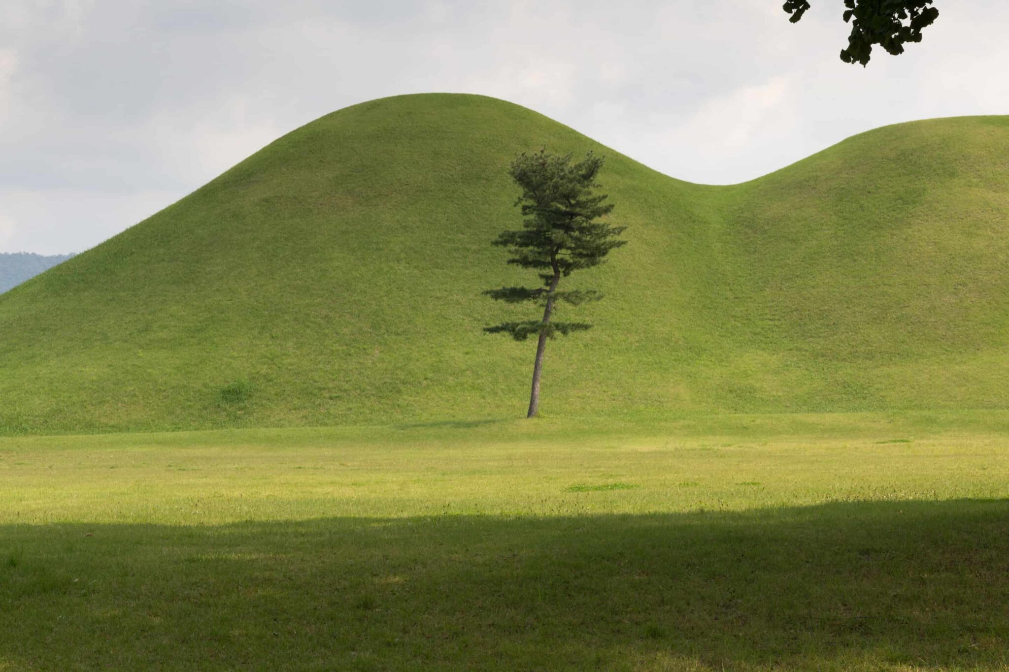 Planetary Health & Planetary Boundaries - Planetary Health Alliance