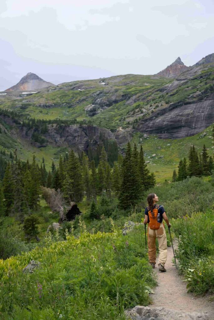 Planetary Health Roadmap and Action Plan