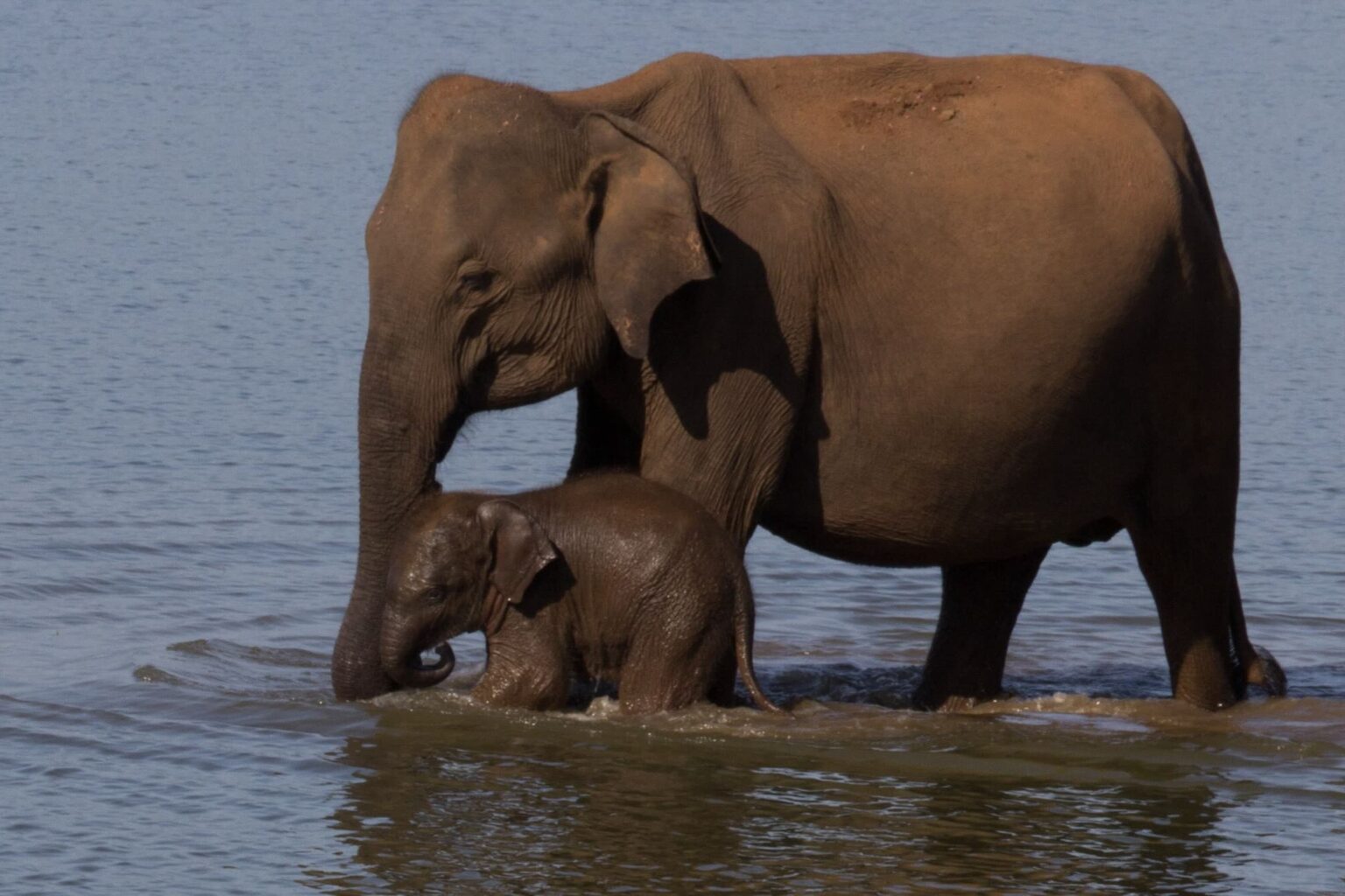 Planetary Health & Planetary Boundaries - Planetary Health Alliance