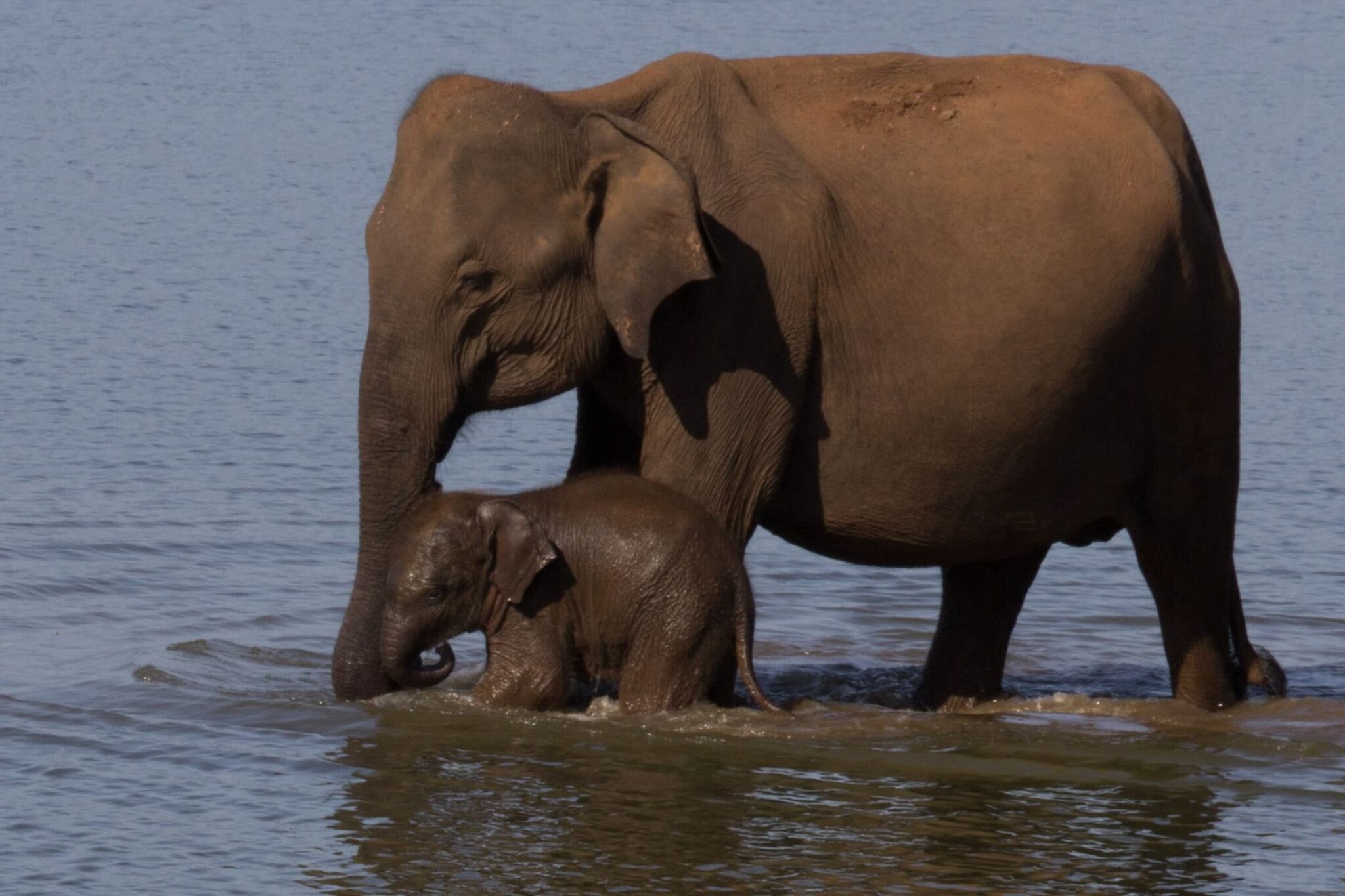 Planetary Health & Planetary Boundaries - Planetary Health Alliance