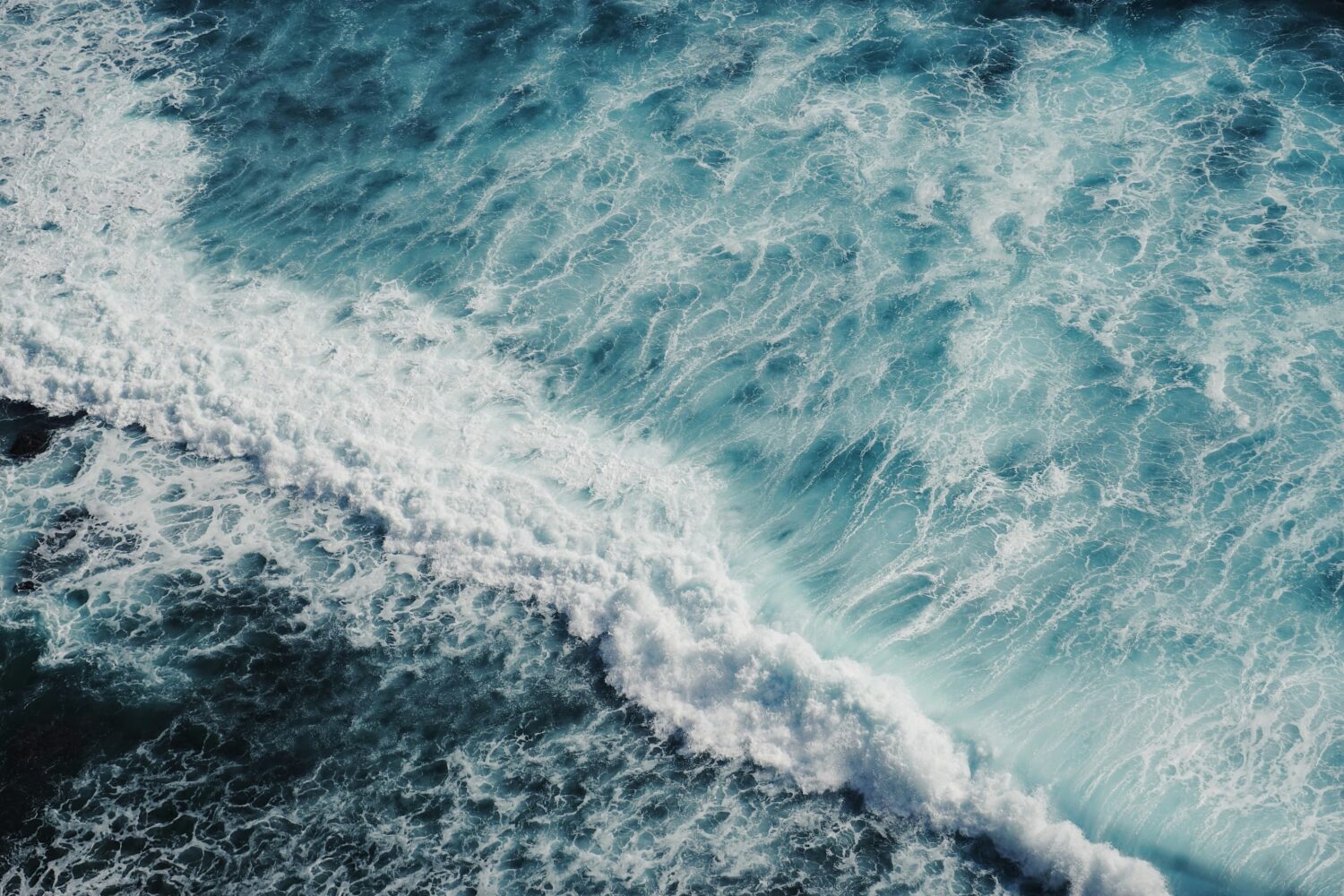 Ocean/Marine Degradation - Planetary Health Alliance