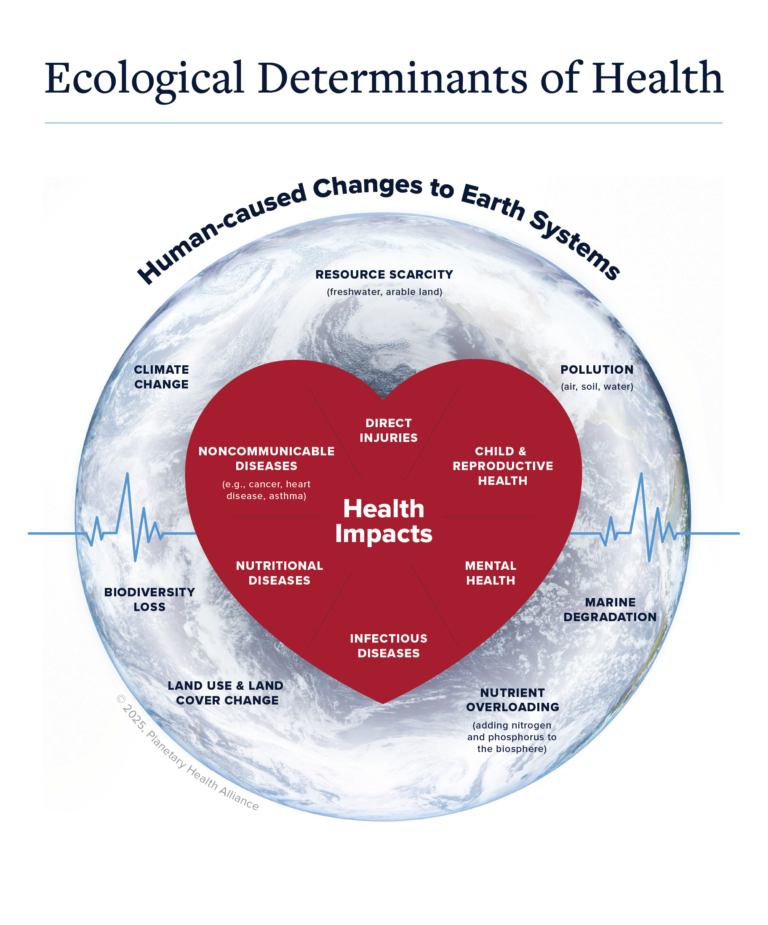 Planetary Health Heart Infographic - Planetary Health Alliance