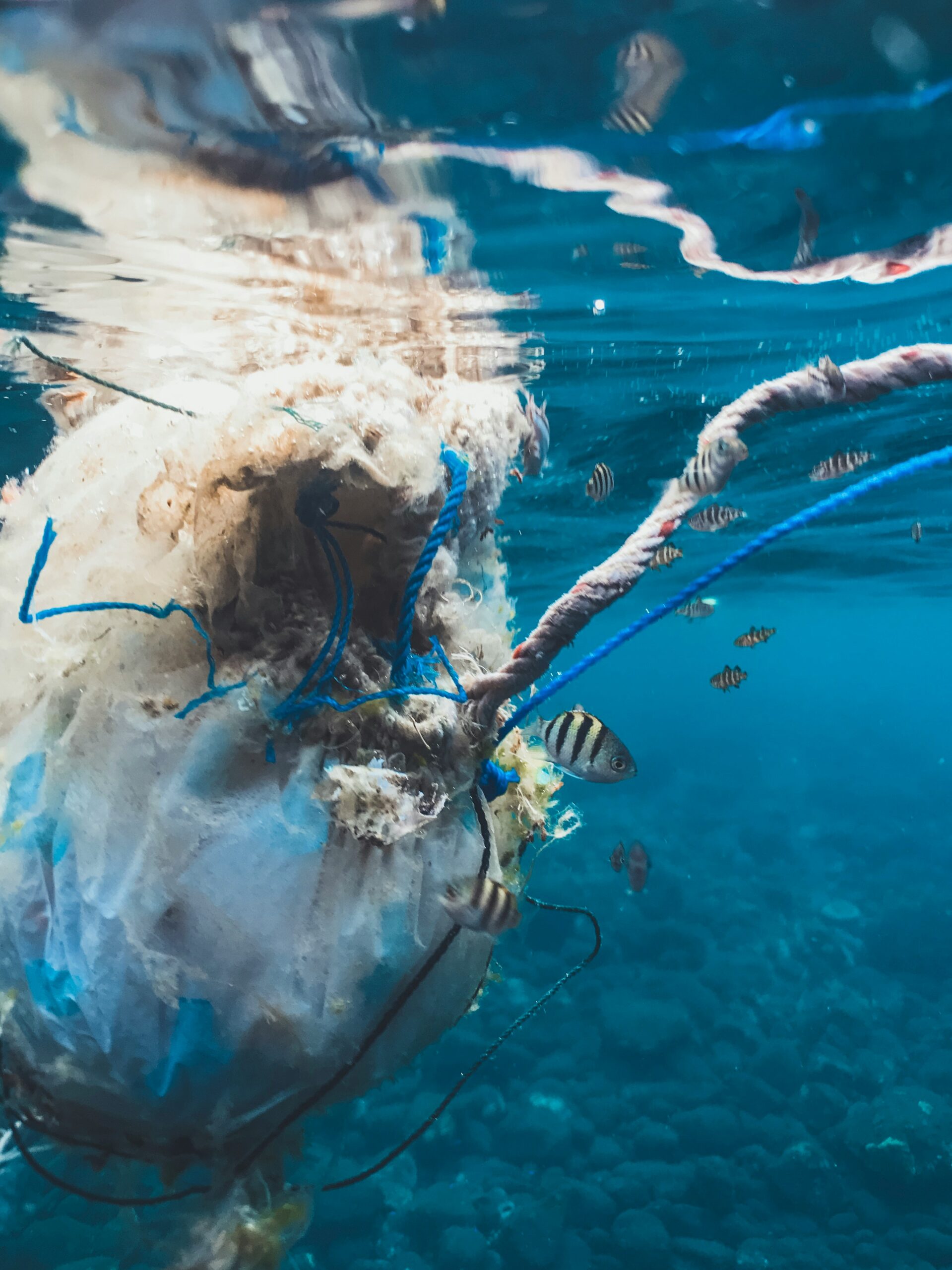 Youth Reimagining a World Without Single-Use Plastics - Planetary ...