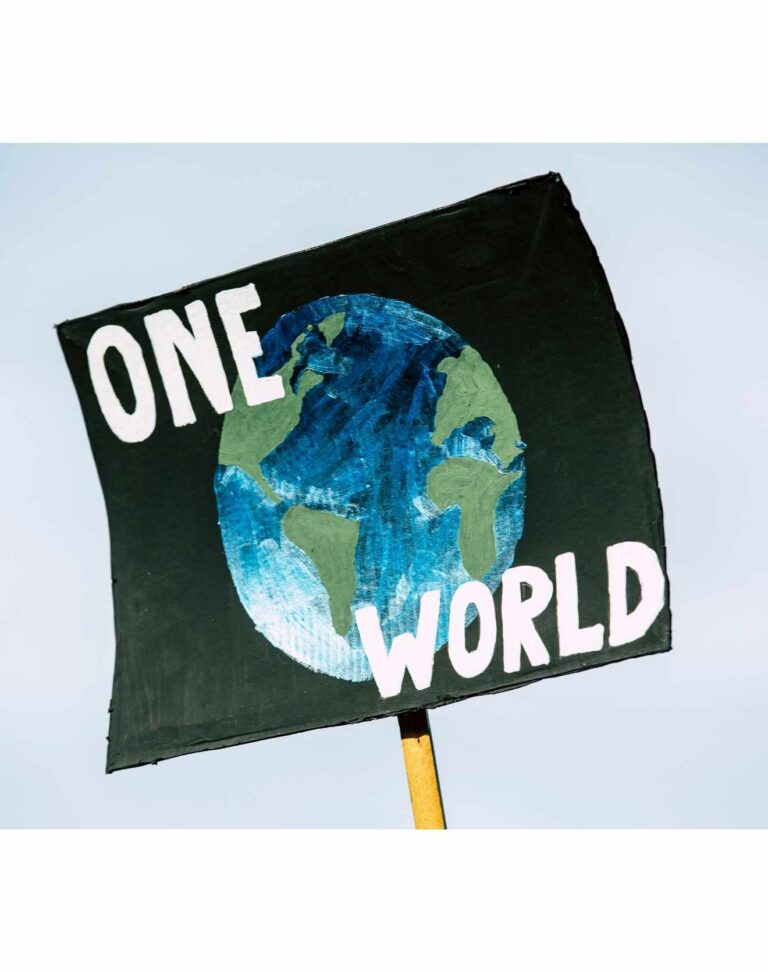 How do the Sustainable Development Goals Connect to Planetary Health ...